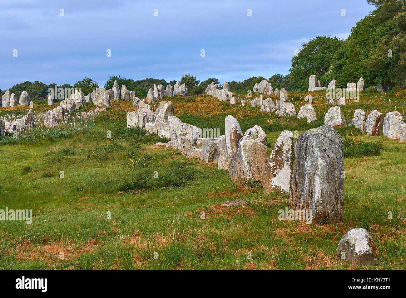 Carnac stones hi-res stock photography and images - Alamy