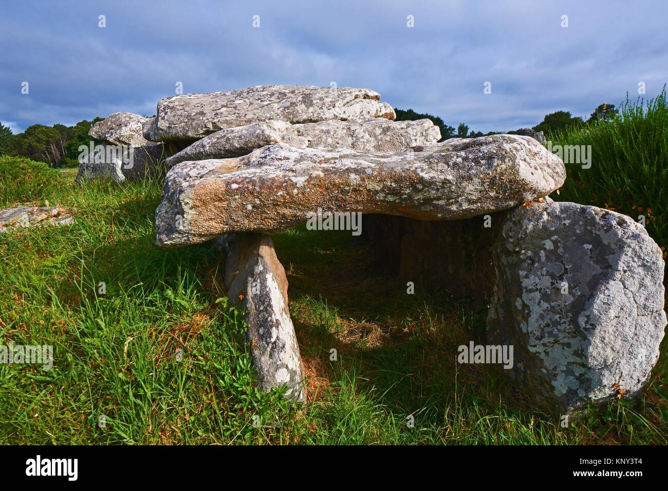 Dolmen megalith bretagne morbihan hi-res stock photography and images ...