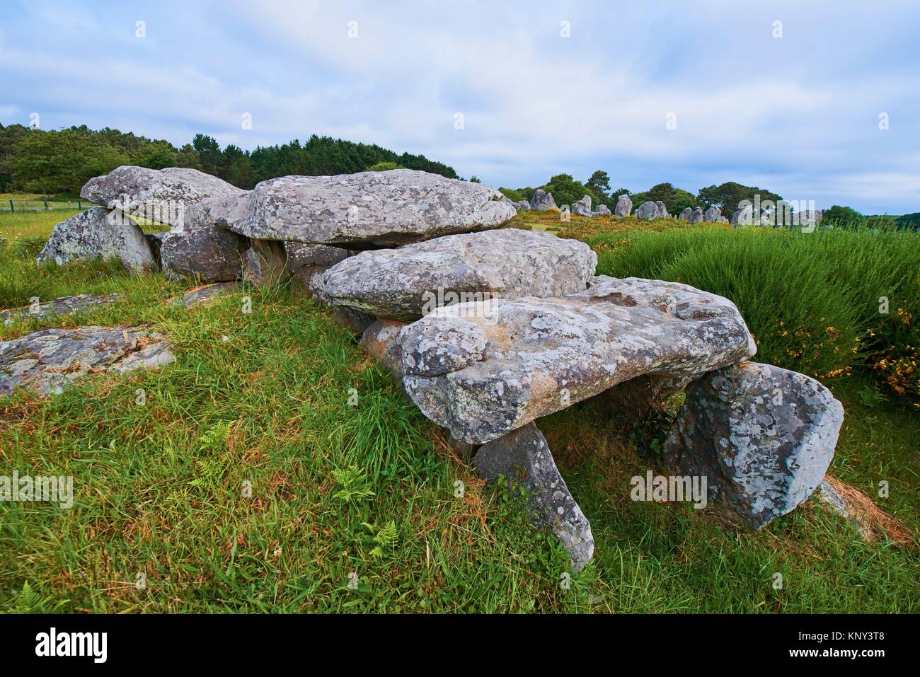 Dolmen megalith bretagne carnac hi-res stock photography and images - Alamy