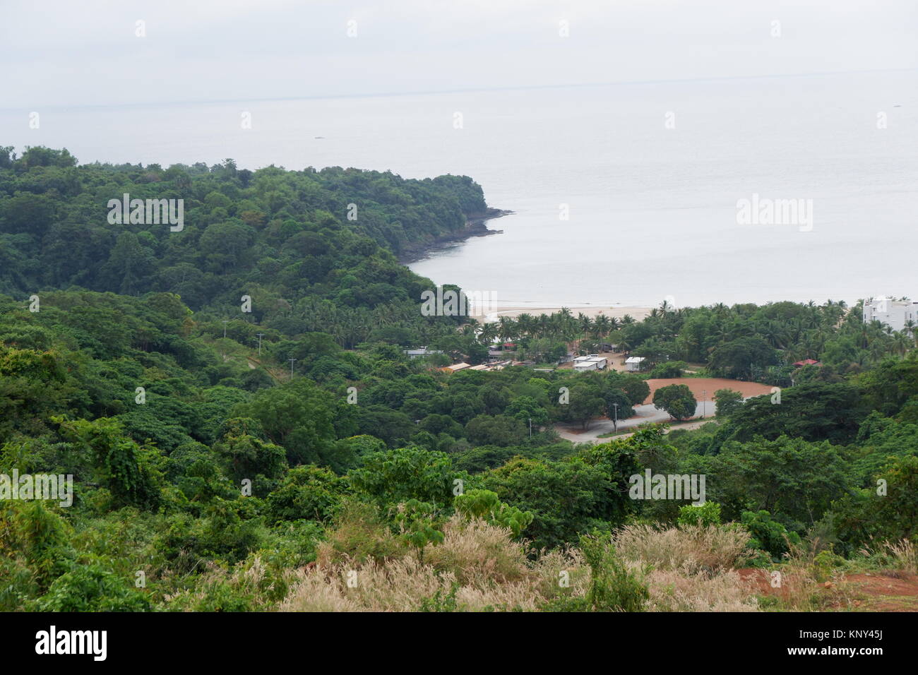 Colorful stuff toys on display Stock Photo - Alamy
