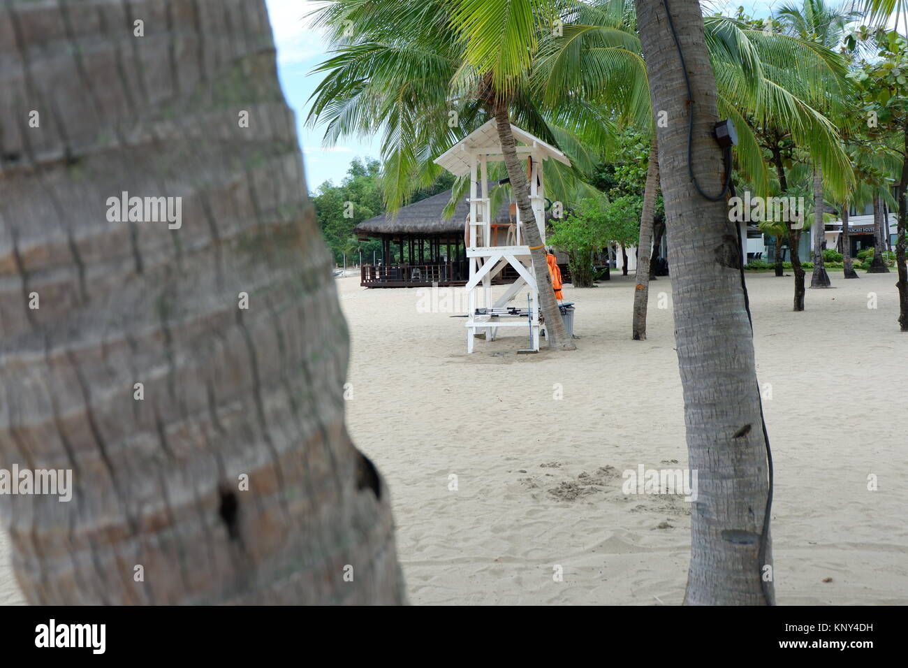 Family beach palm tree hi-res stock photography and images - Alamy