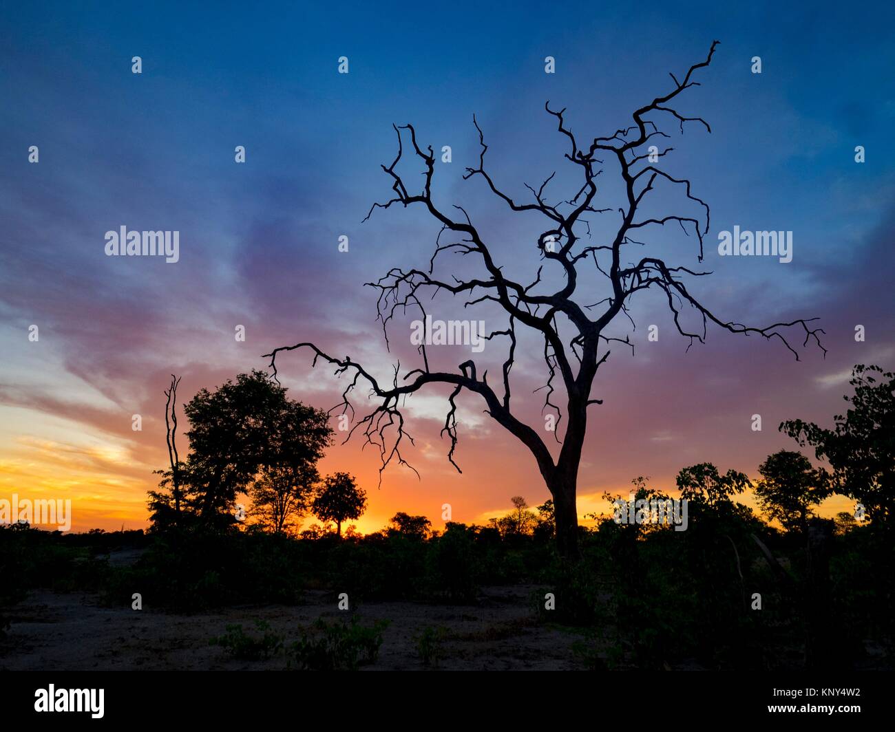 Okavanga sunset hi-res stock photography and images - Alamy