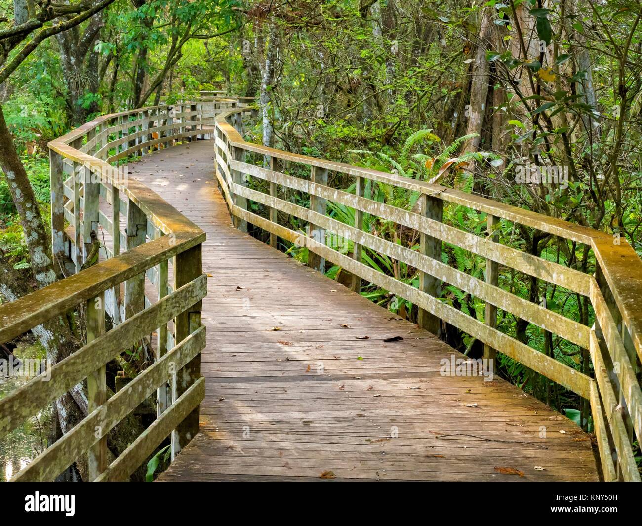 Recreation florida hi-res stock photography and images - Alamy