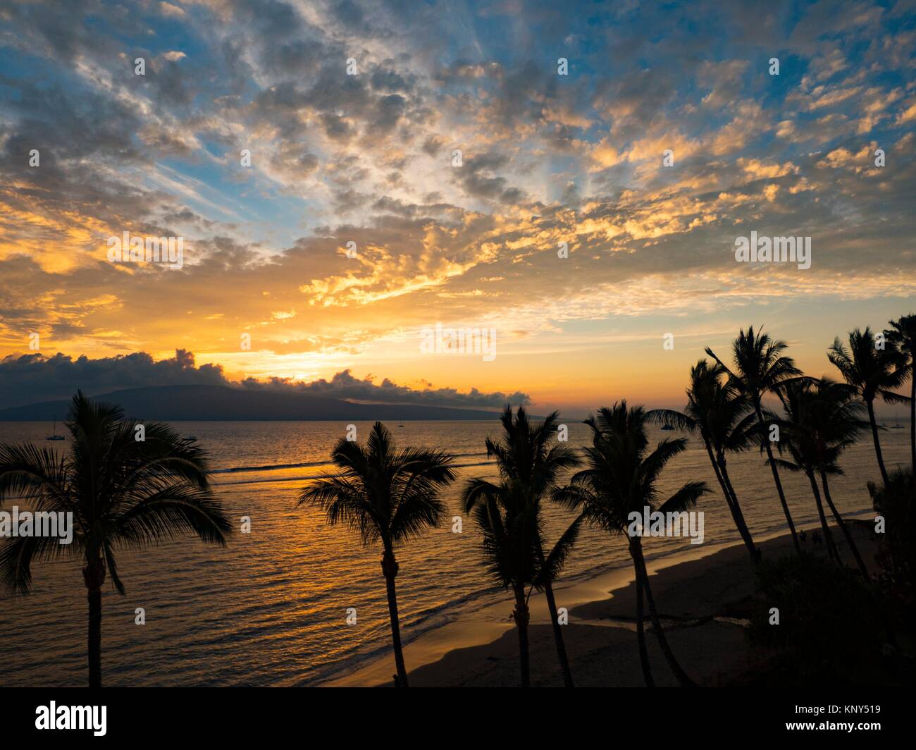 Maui sunset palm tree hi-res stock photography and images - Alamy