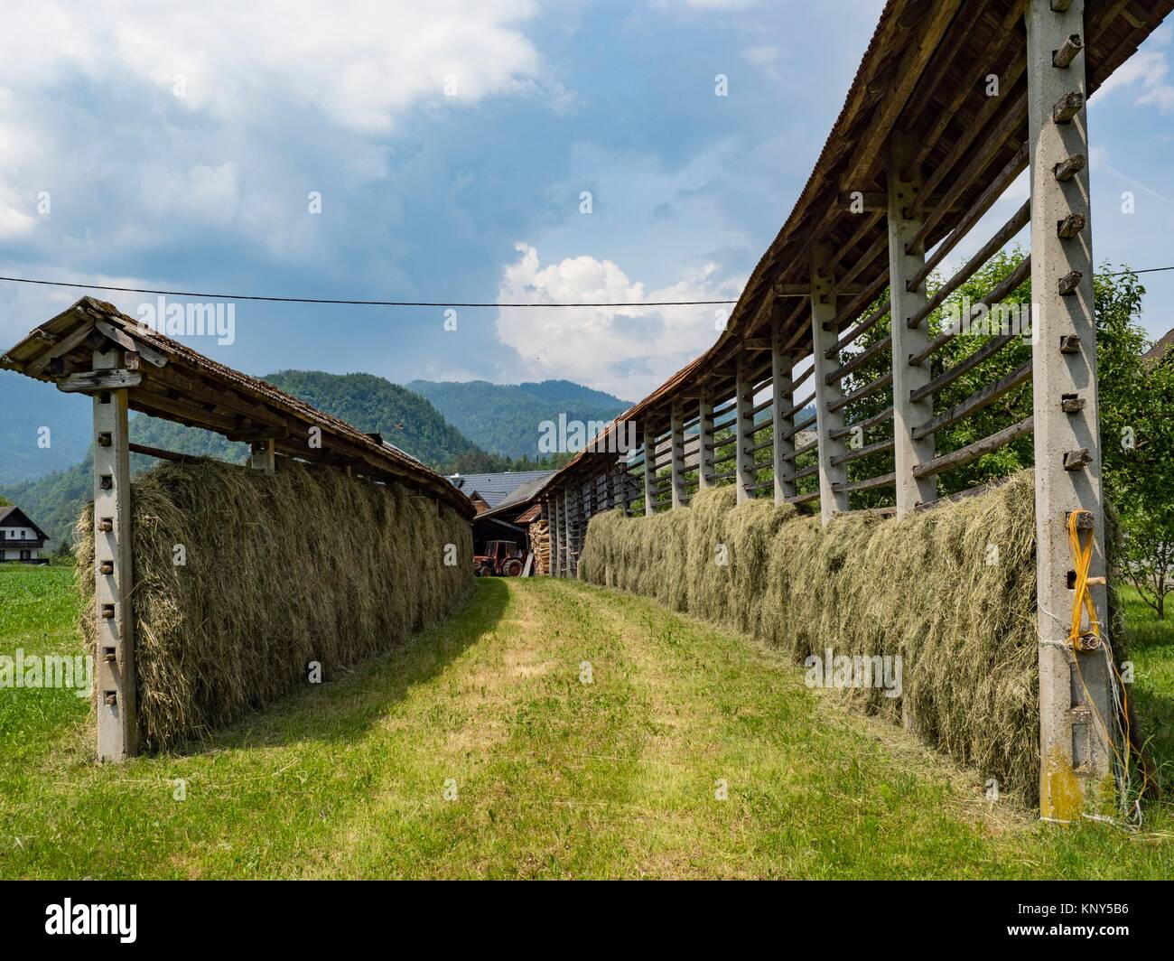 Hay drying racks hi-res stock photography and images - Alamy