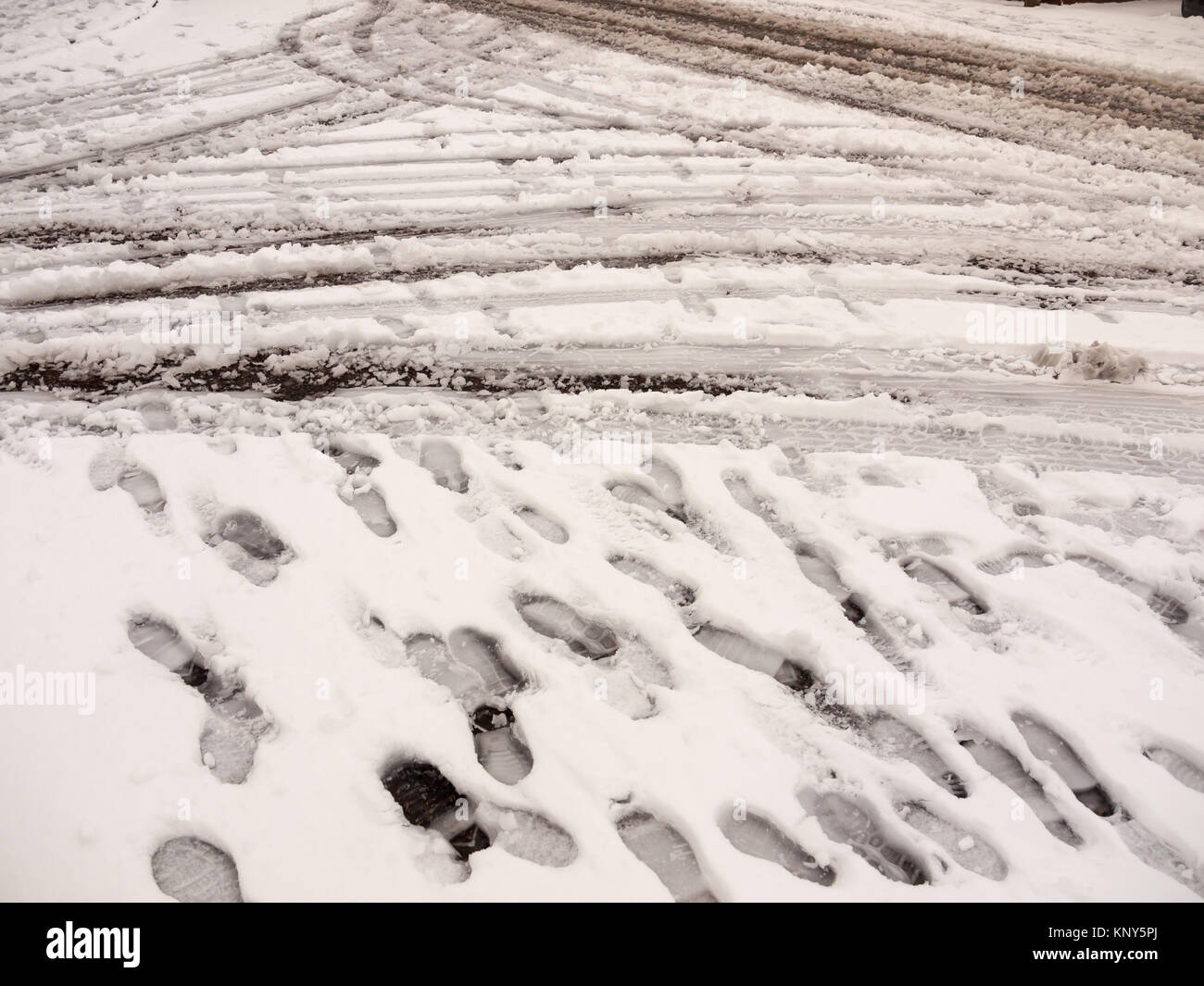 snow on path and road outside tire marks trails foot prints floor ...