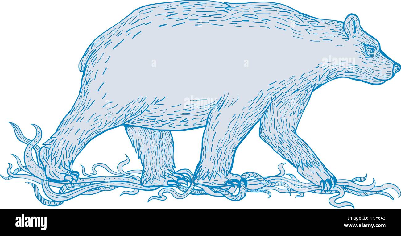 Drawing sketch style illustration of a polar bear, carnivorous bear in ...