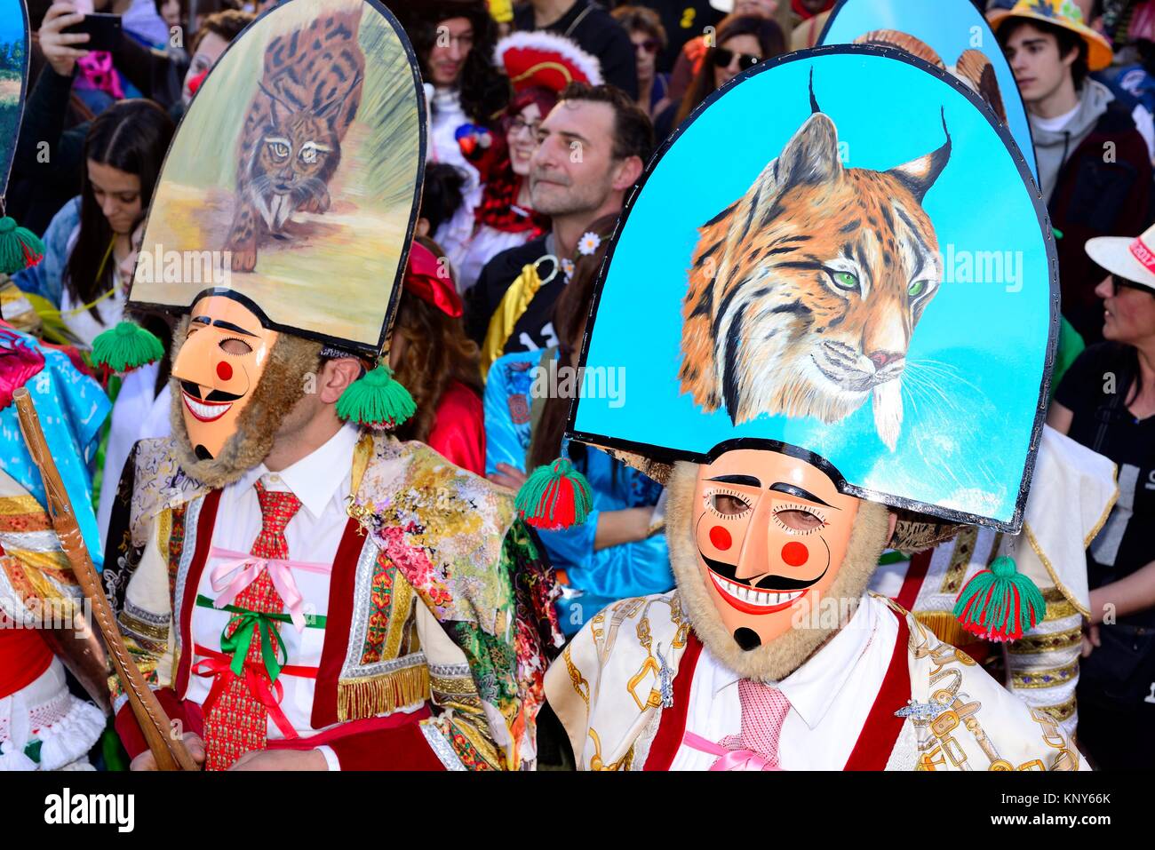 Tiger Masque High Resolution Stock Photography and Images - Alamy