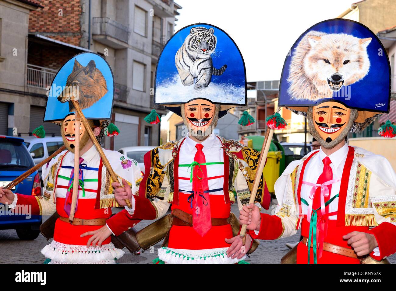 Dog Tiger Costume High Resolution Stock Photography and Images - Alamy