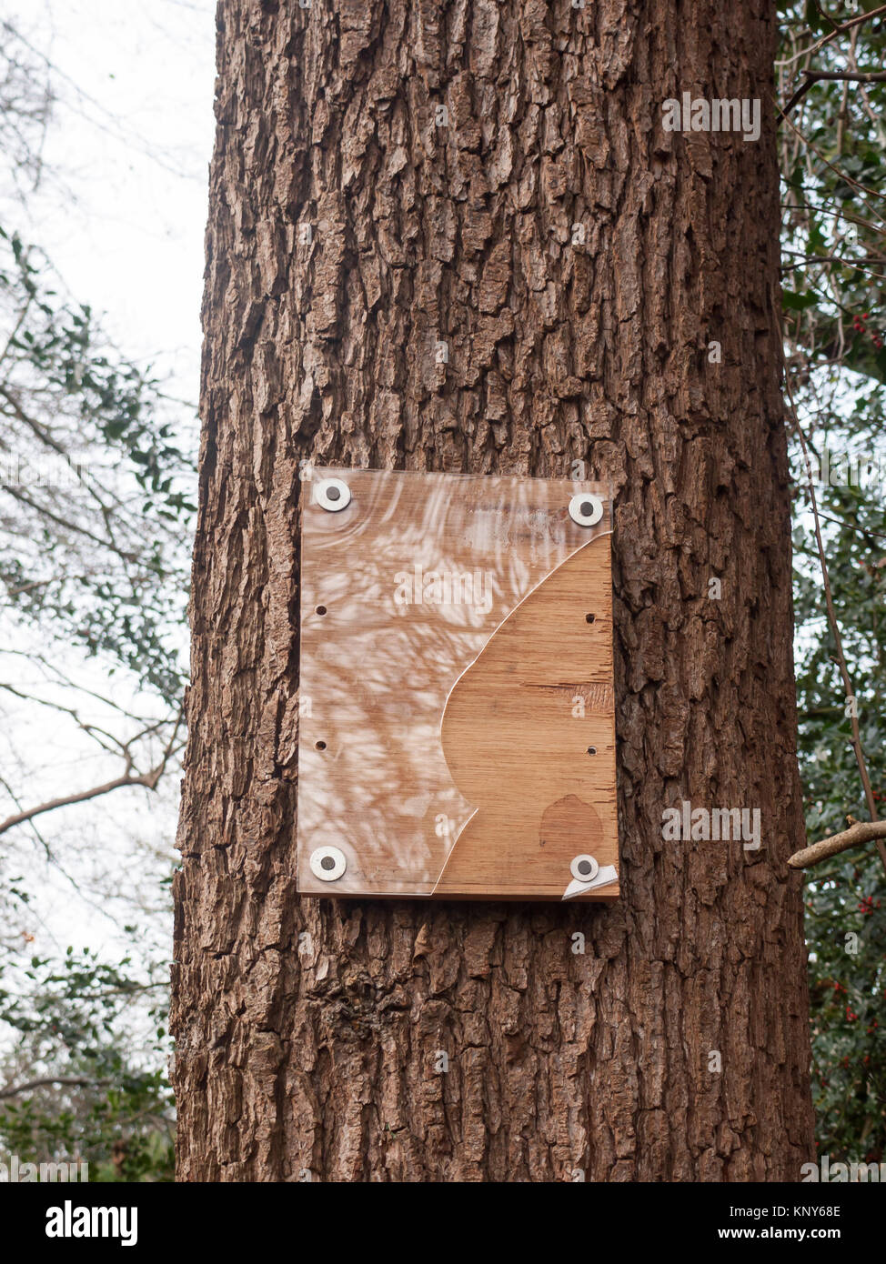 Sign Nailed To Tree High Resolution Stock Photography and Images - Alamy