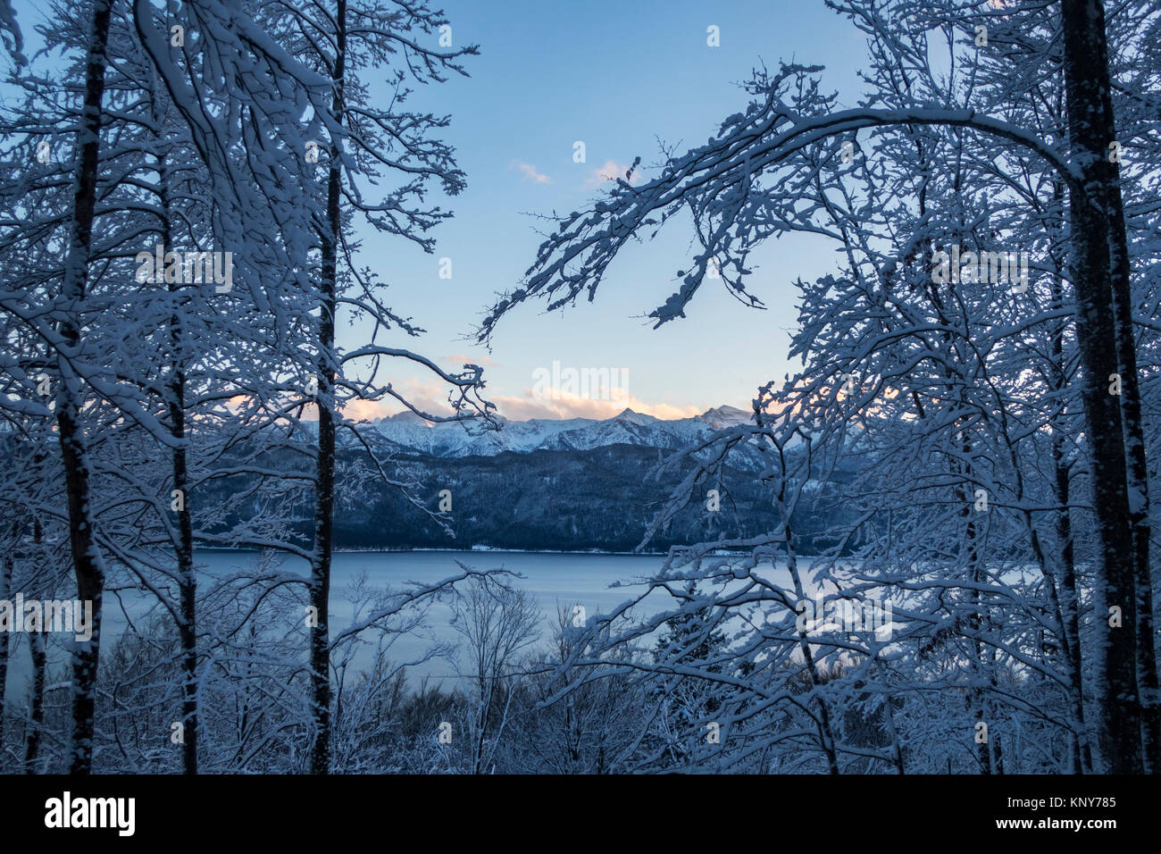 walchensee lake in bavaria in winter Stock Photo - Alamy