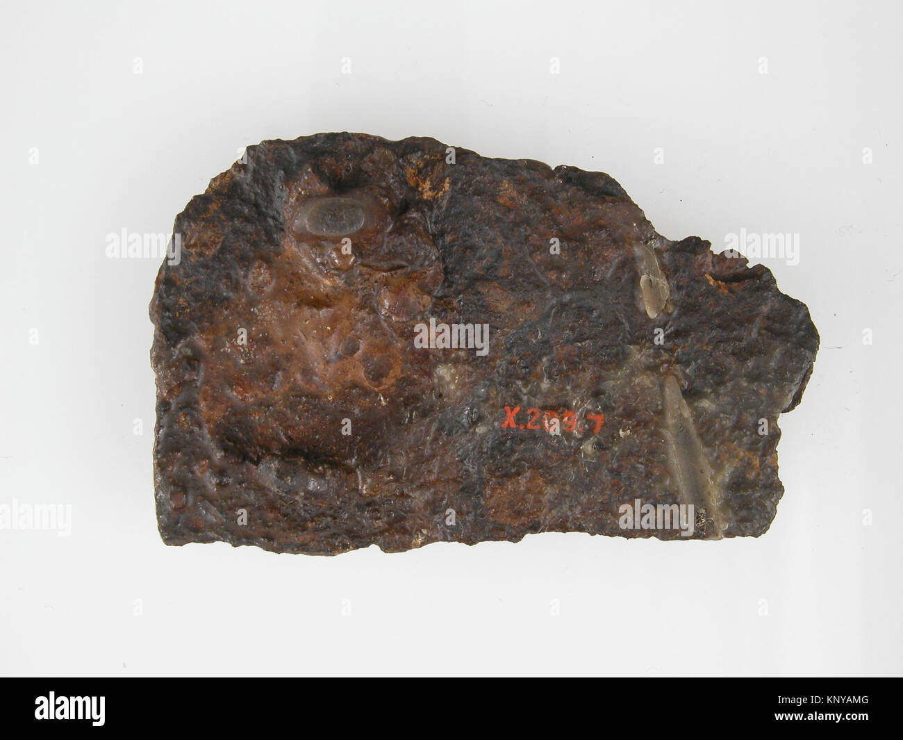 This Frankish counter plate of a belt buckle, dating from the 4th–7th ...