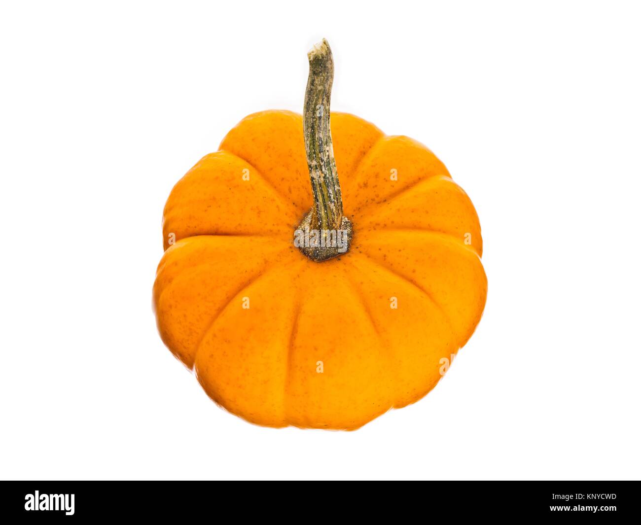 Pumpkin carving top view hi-res stock photography and images - Alamy