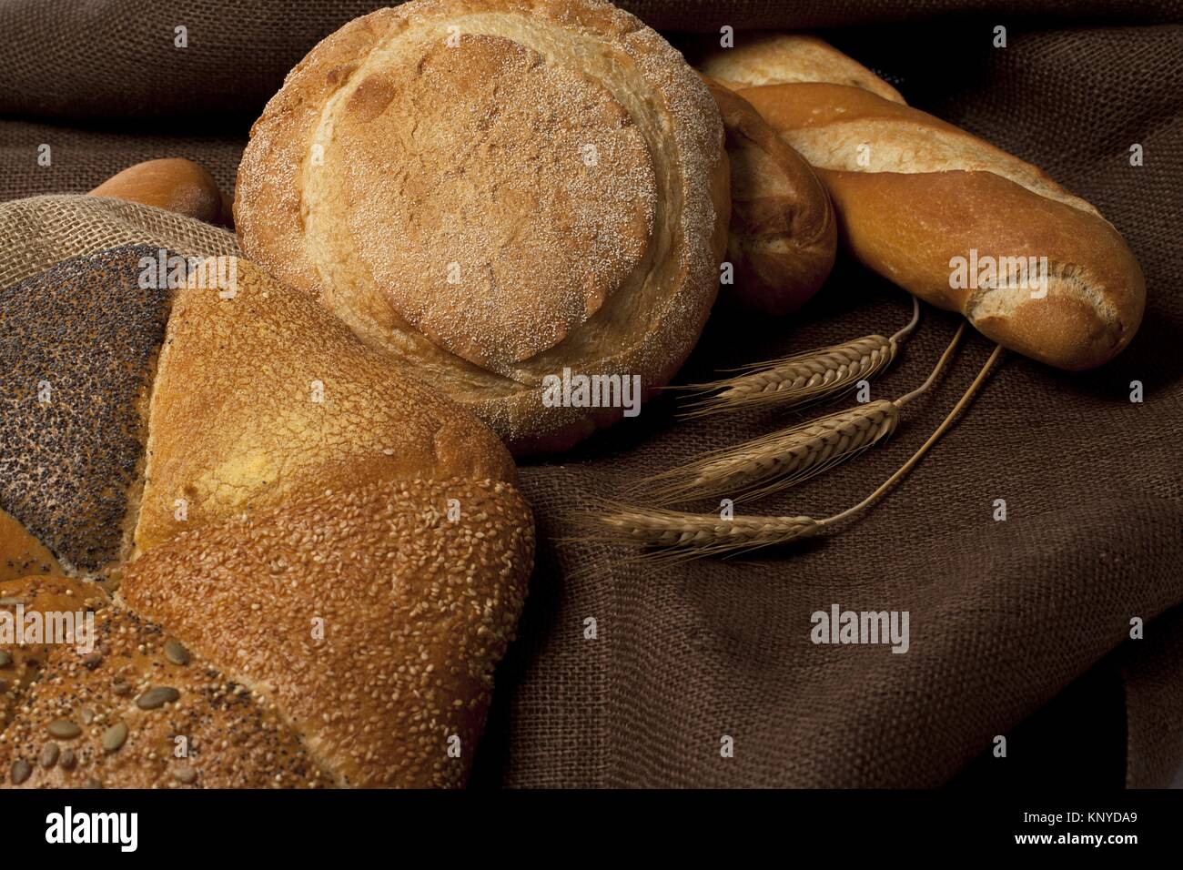 assorted fresh bread Stock Photo - Alamy