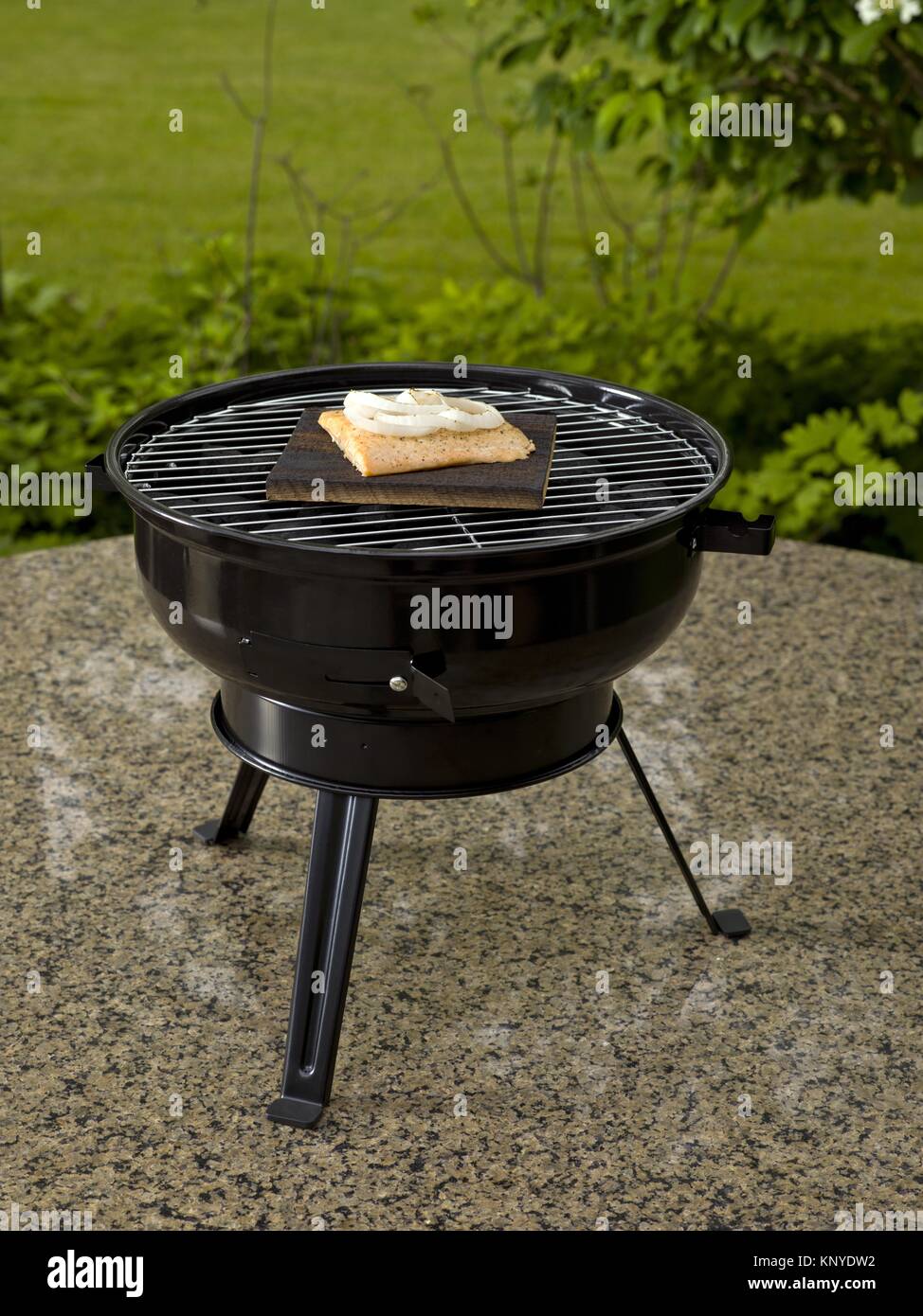 Salmon grill backyard hi-res stock photography and images - Alamy