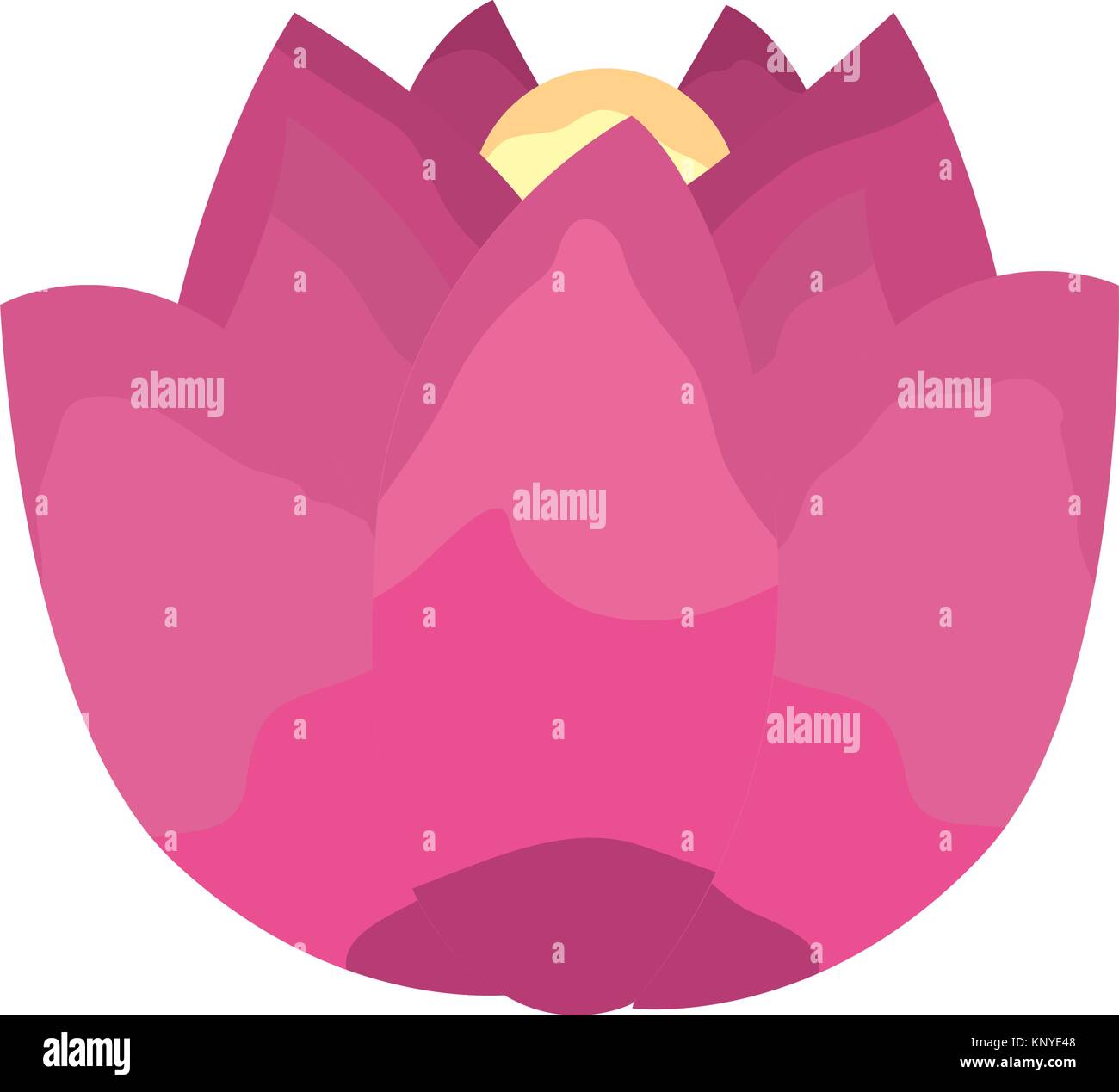 lotus flower wild botanical natural Stock Vector Image & Art - Alamy