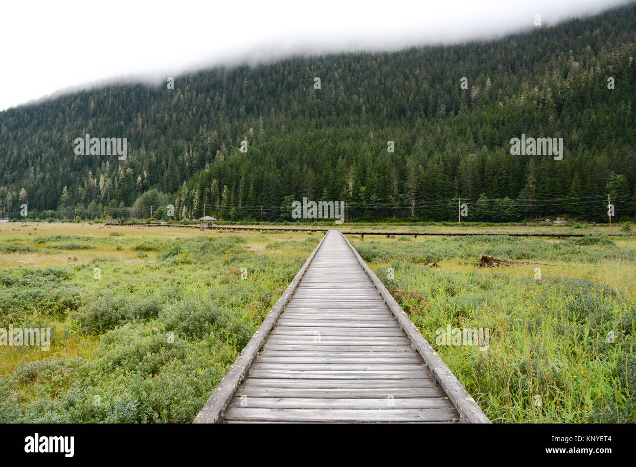 A wooden boardwalk and walking path over the estuary of the Bear River ...