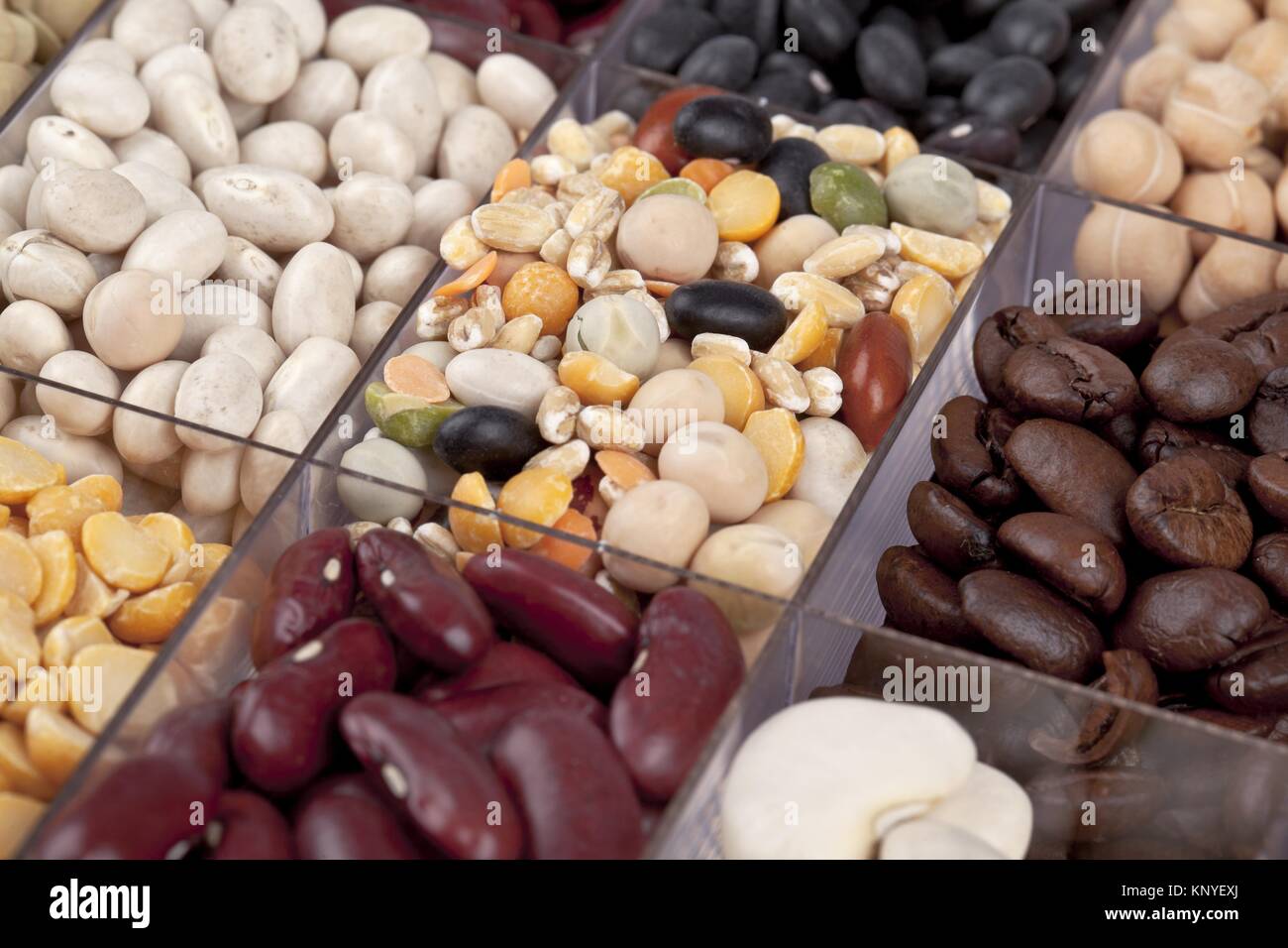beans in macro Stock Photo - Alamy