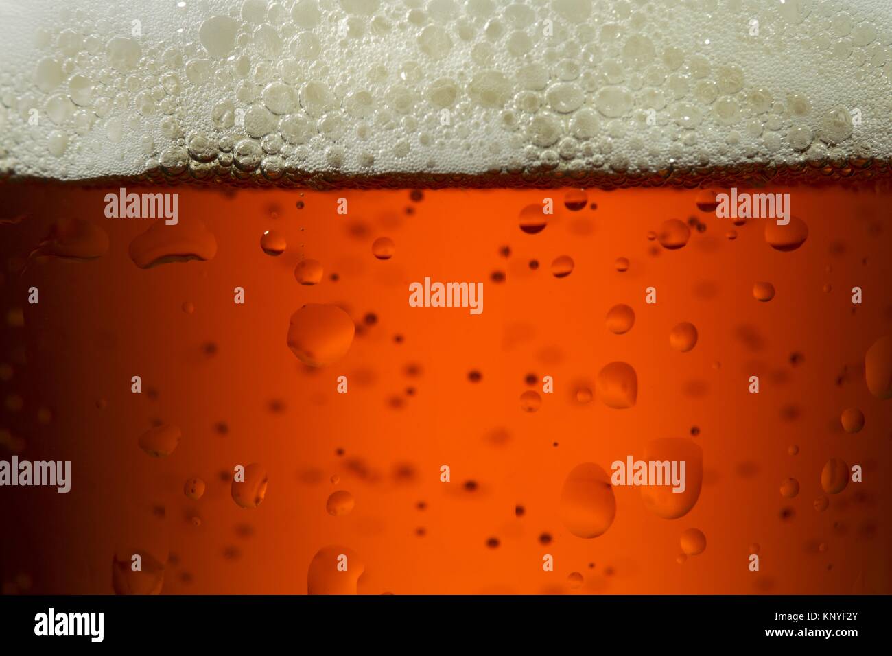 beer bubbles and froth Stock Photo - Alamy