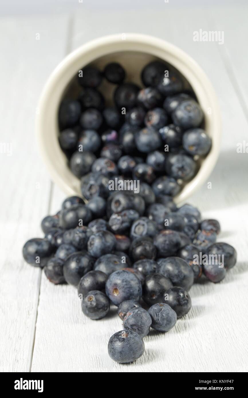 Indigo berry hi-res stock photography and images - Alamy