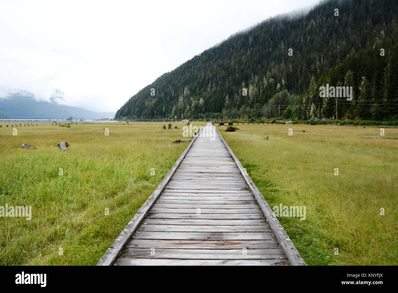 A wooden boardwalk and walking path over the estuary of the Bear River ...