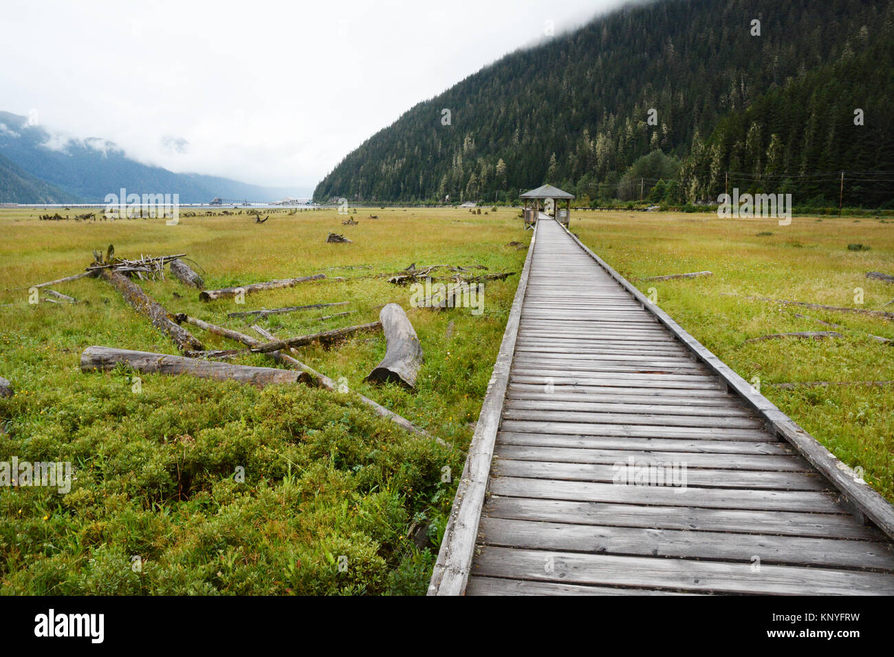 Wooden elevated boardwalk hi-res stock photography and images - Alamy