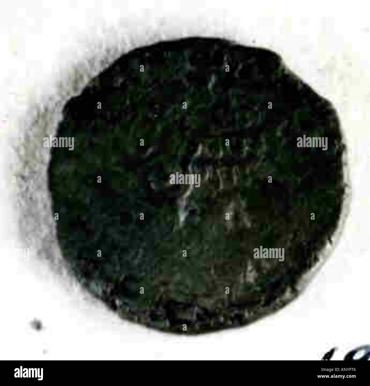 Metal coin from the ancient period, catalog number 39.40.127.400b, in ...