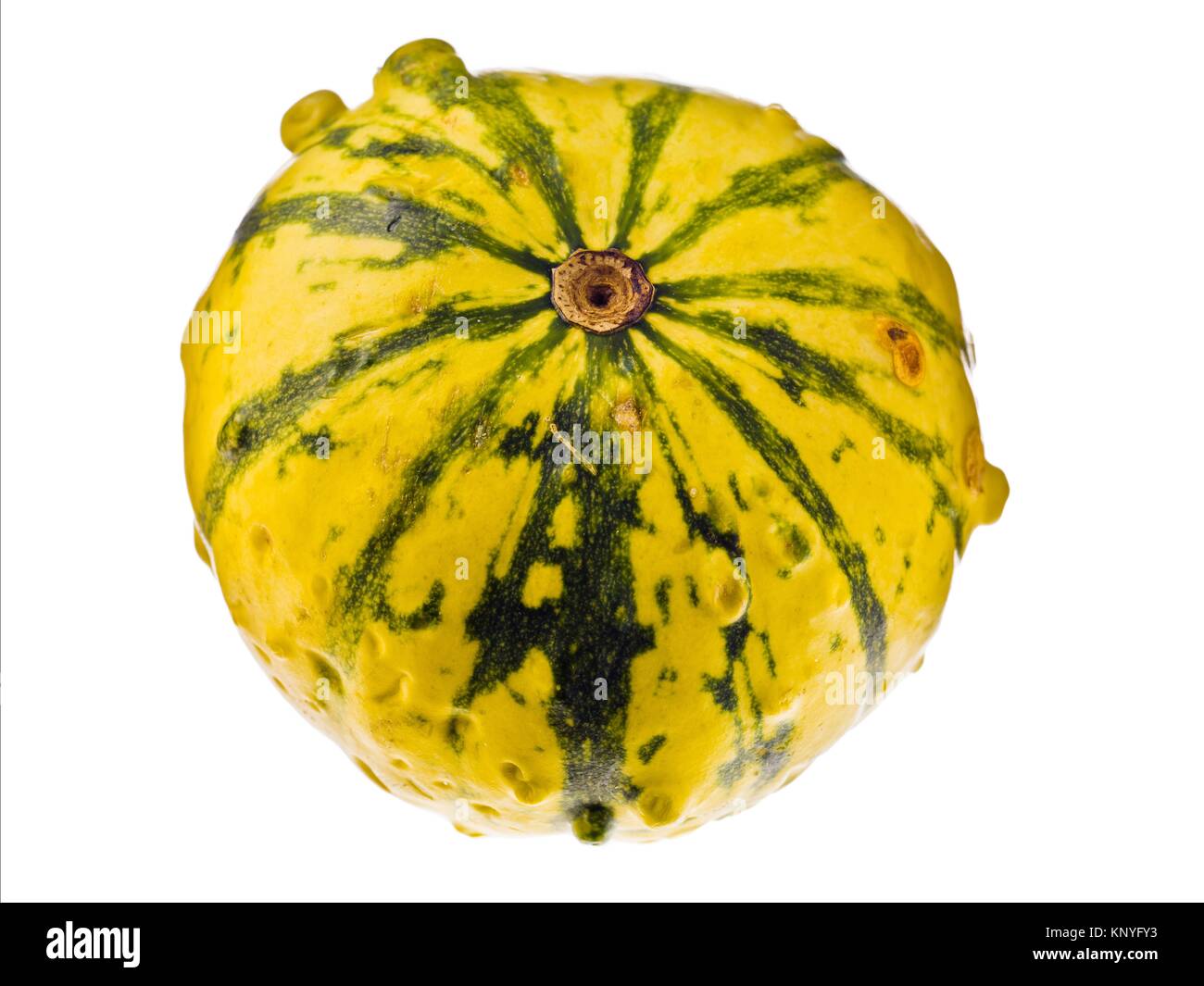 Squash bottom Cut Out Stock Images & Pictures - Alamy