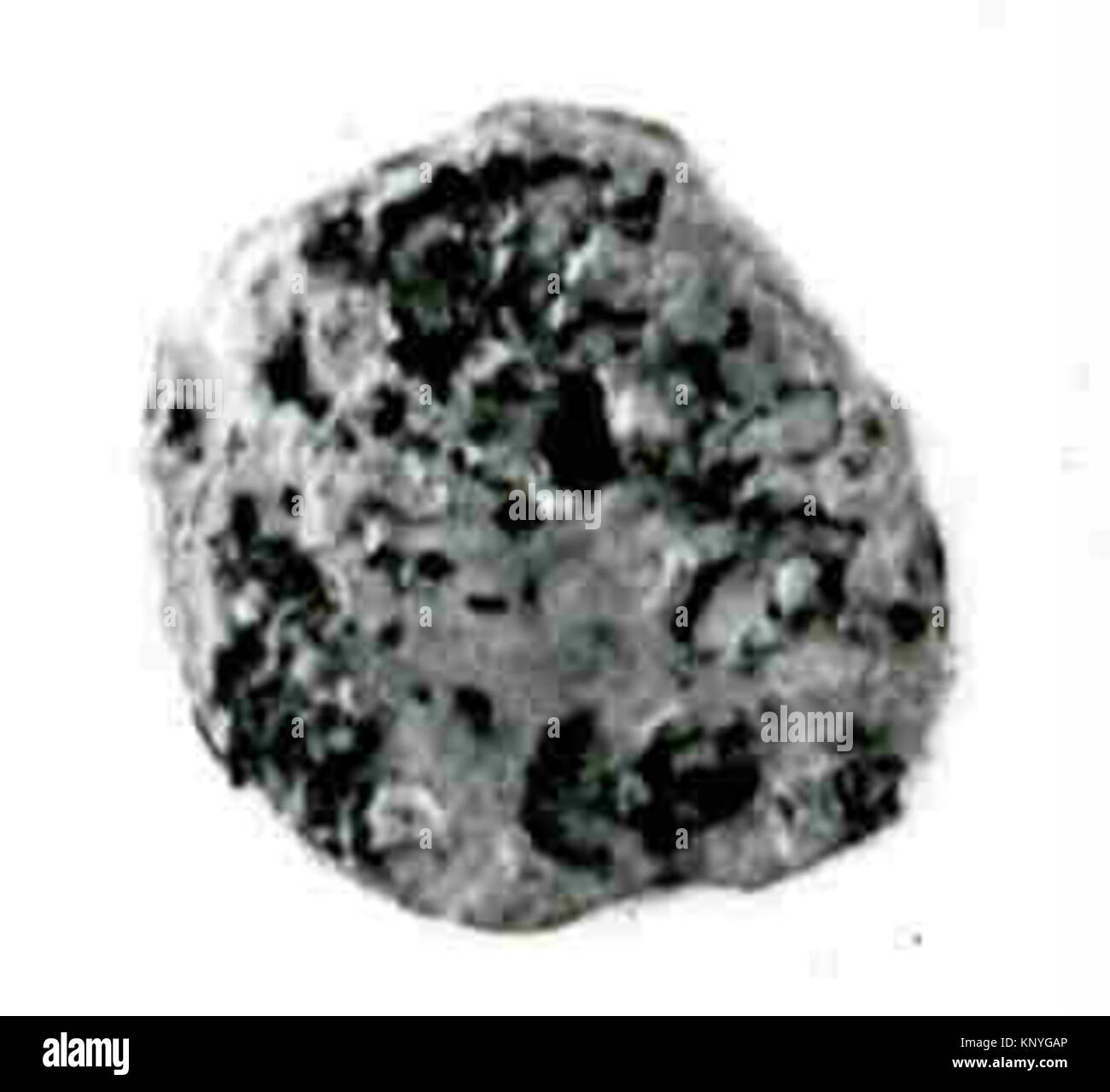 An ancient coin from the MET collection, featuring inscriptions, metal ...