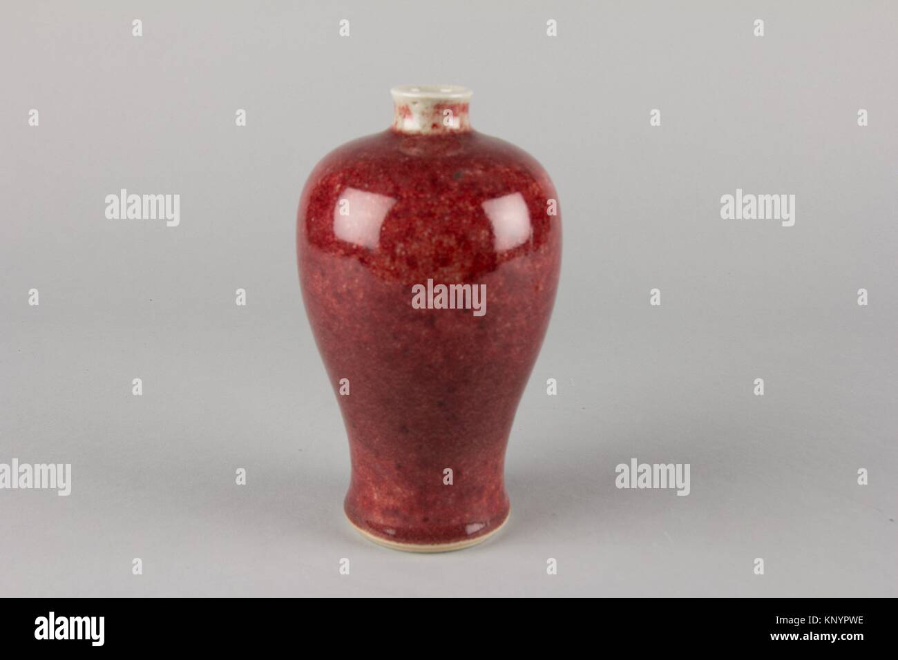 Gallipot High Resolution Stock Photography and Images - Alamy