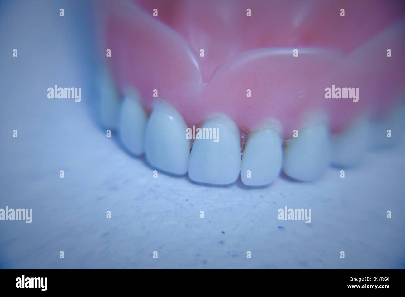 False teeth hi-res stock photography and images - Alamy