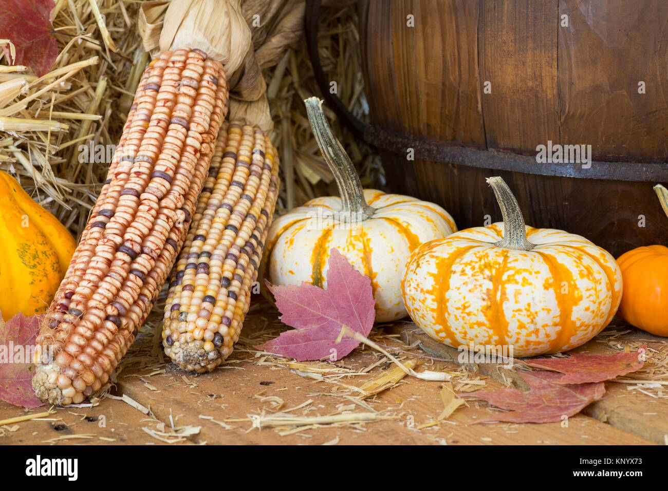 Colorful gourds and corn on a wooden surface Stock Photo - Alamy