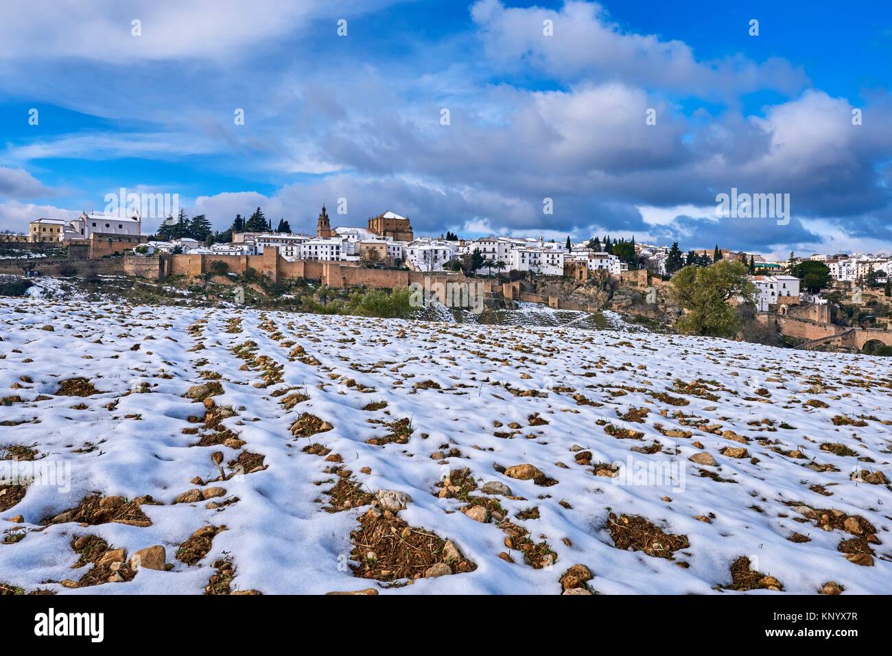 Malaga spain city spring hi-res stock photography and images - Alamy
