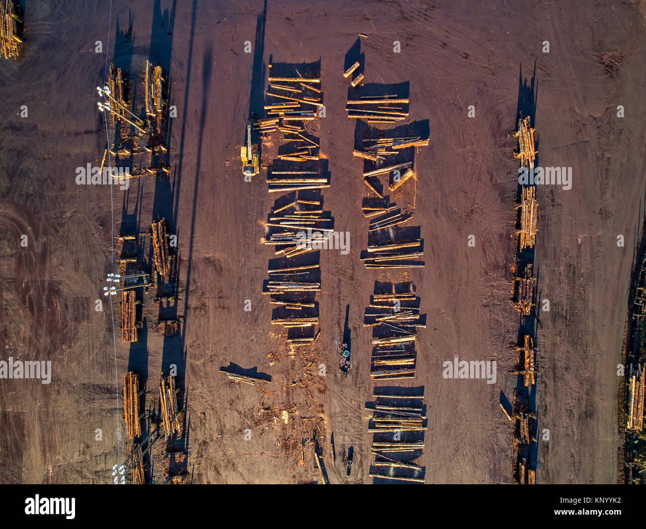 Logging industry canada logs hi-res stock photography and images - Alamy