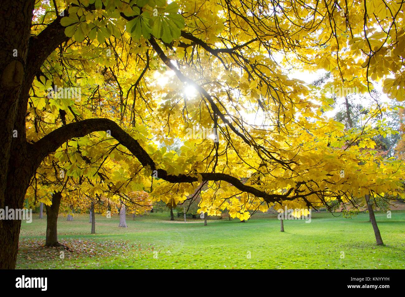 Spokane autumn hi-res stock photography and images - Alamy