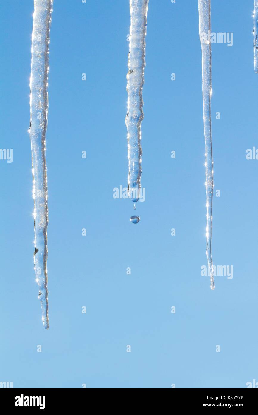 Icicles winter sunlight vertical hi-res stock photography and images ...