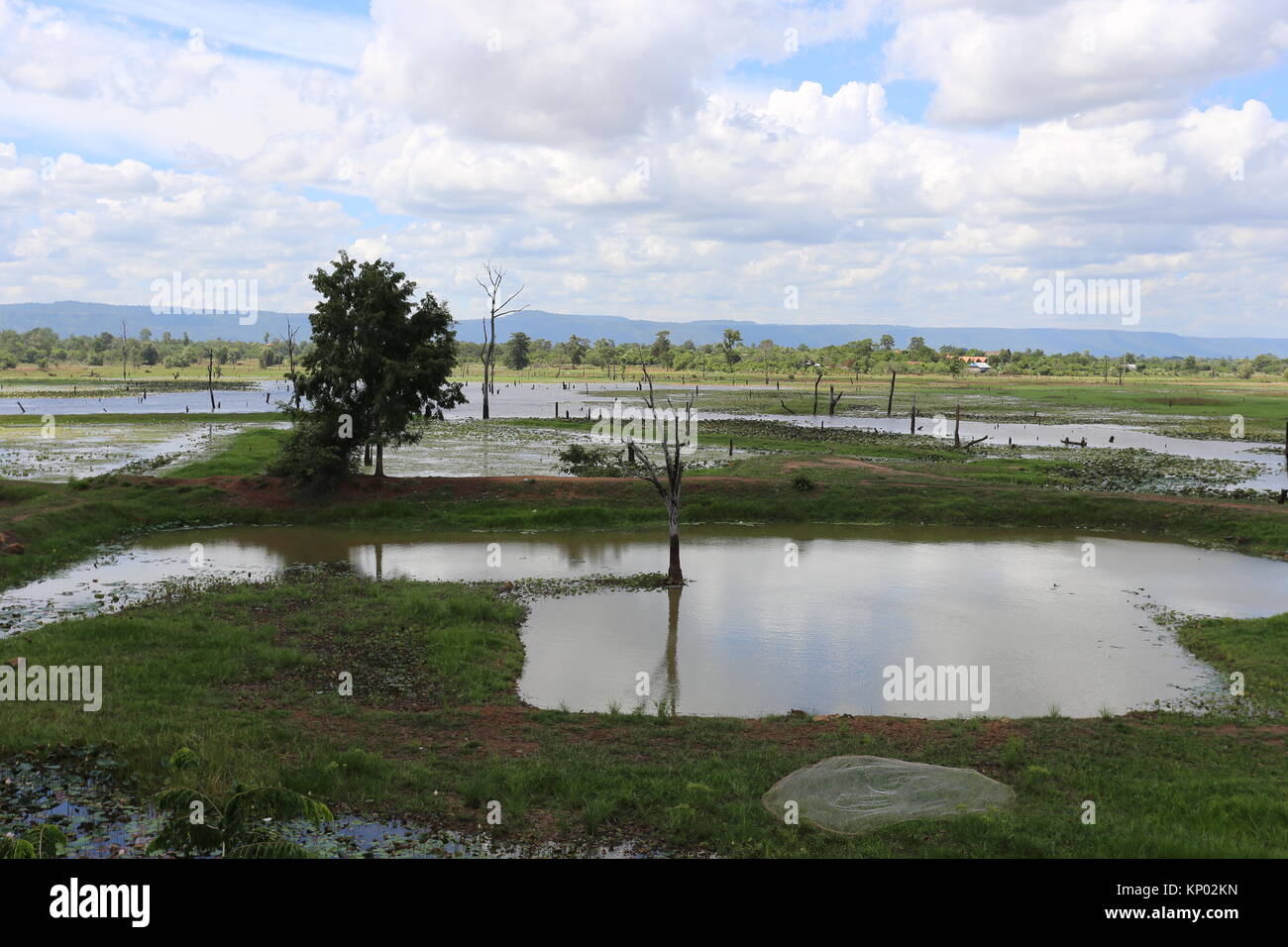 The view from Ta Mok House in Anlong Veng, formerly occupied by one of ...