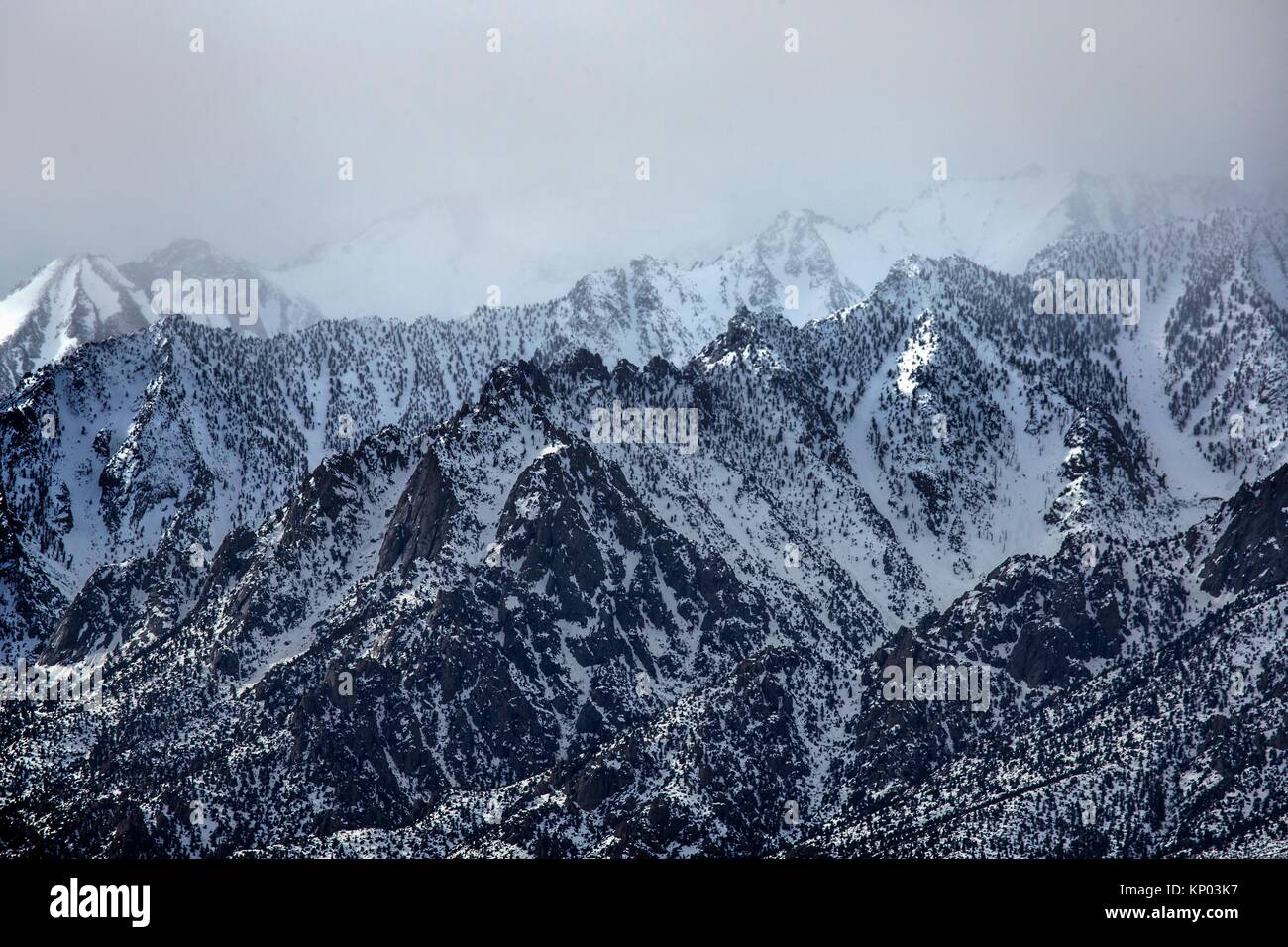 Predominate High Resolution Stock Photography and Images - Alamy