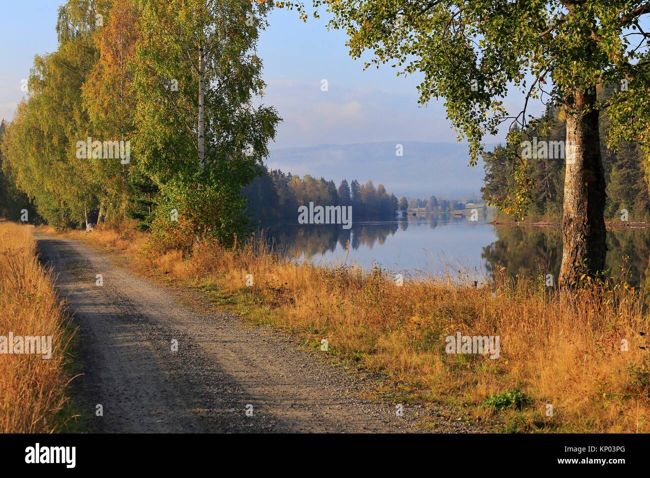 Halsingland sweden hi-res stock photography and images - Alamy