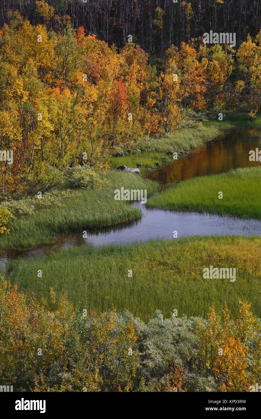 Landscape in lappland hi-res stock photography and images - Alamy