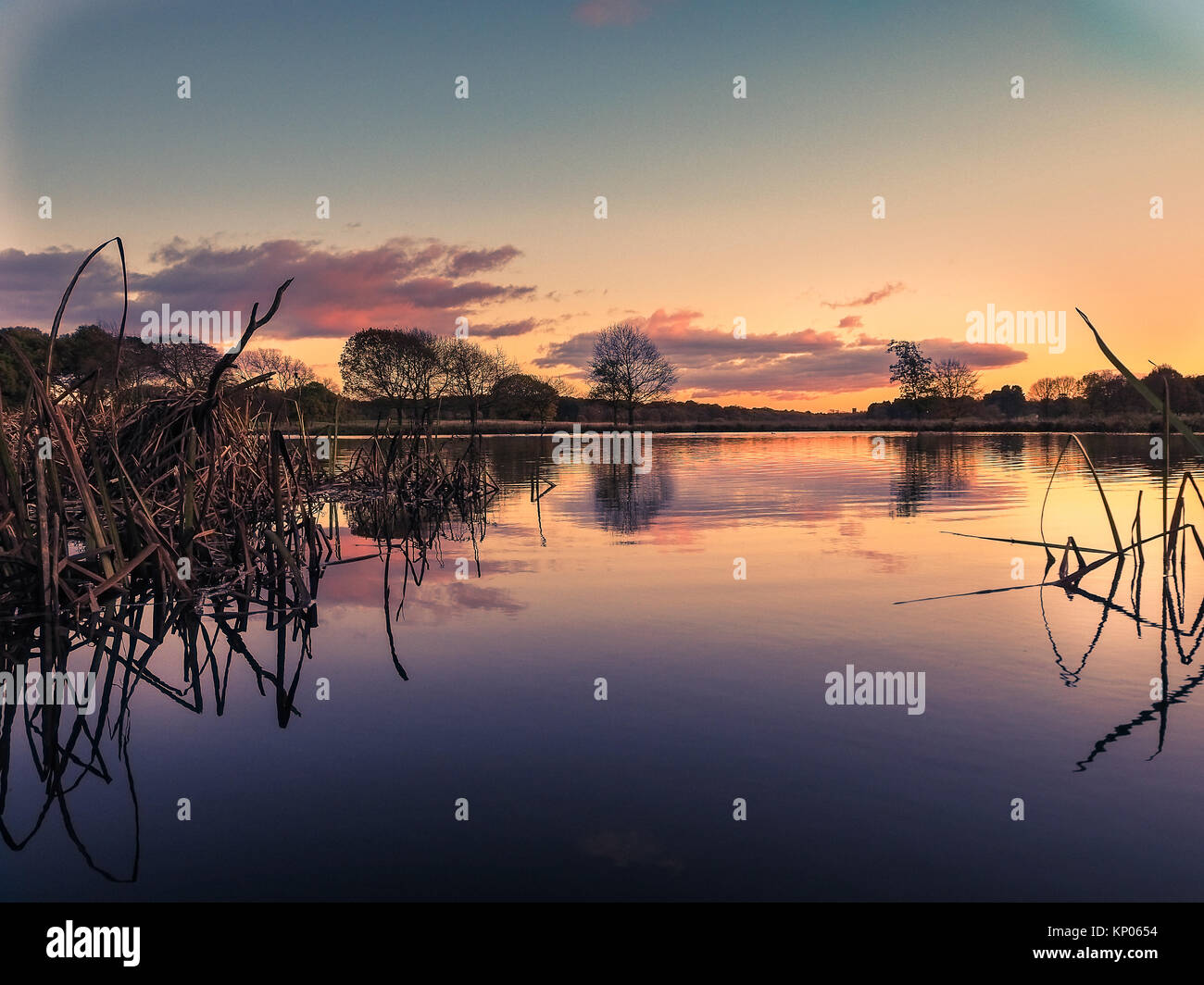 Autun leaves hi-res stock photography and images - Alamy