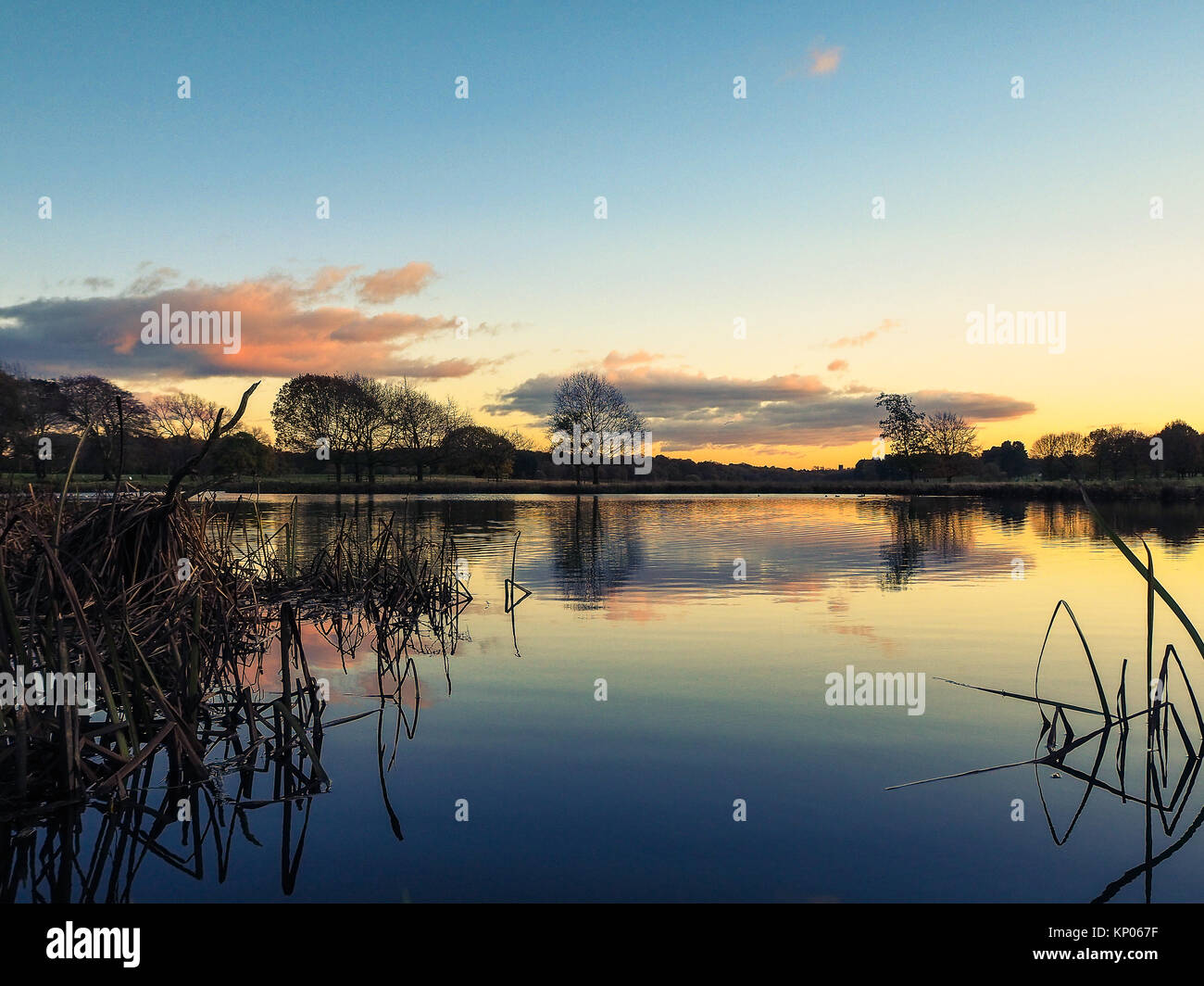 Autun leaves hi-res stock photography and images - Alamy