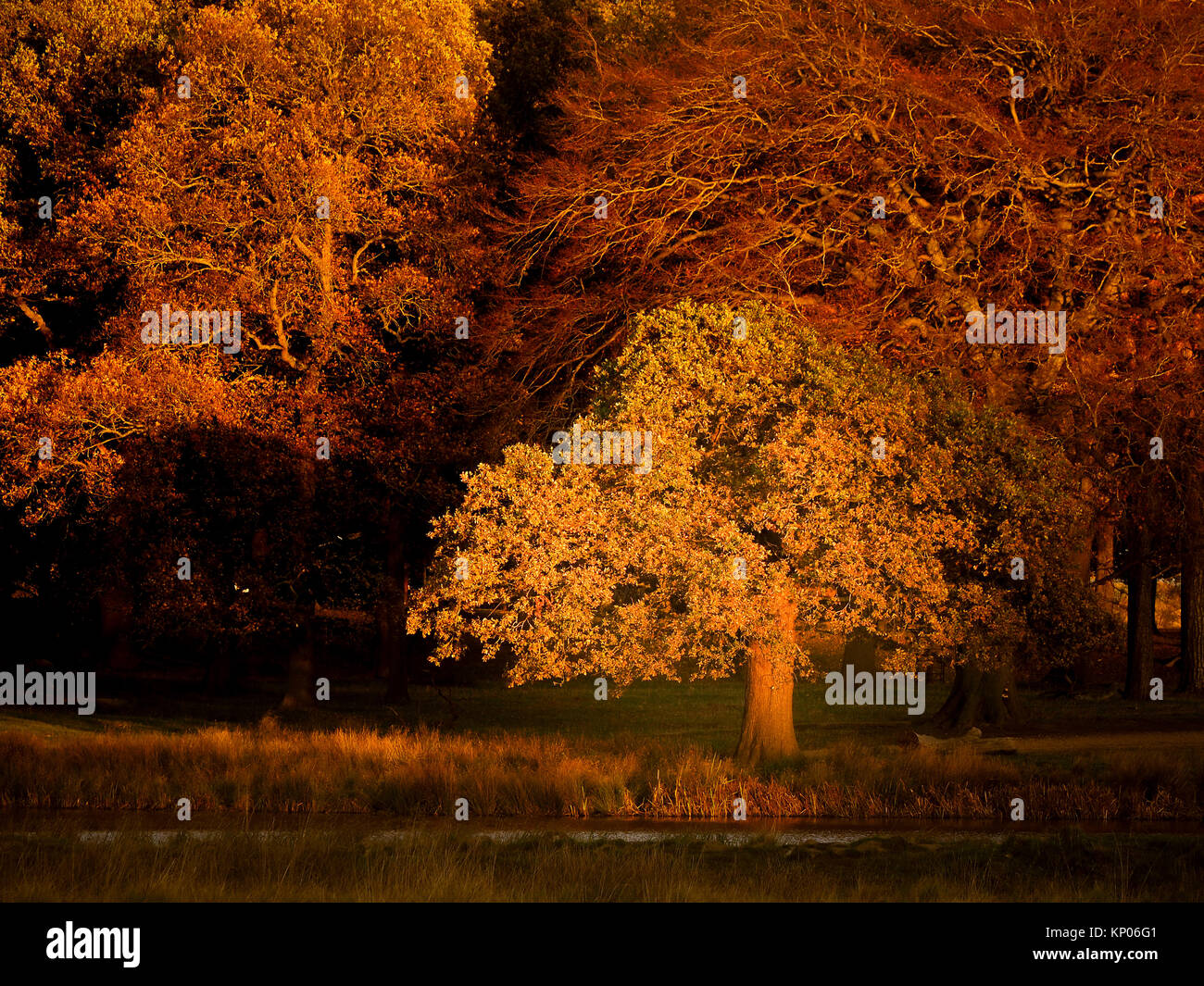 Autun colours hi-res stock photography and images - Alamy