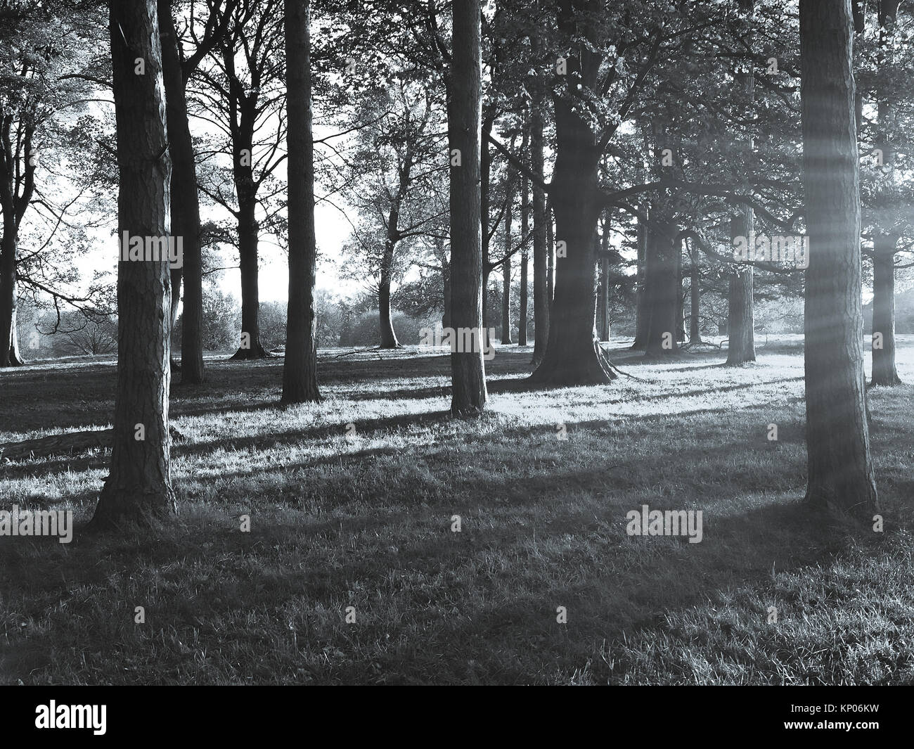 Autun uk hi-res stock photography and images - Alamy