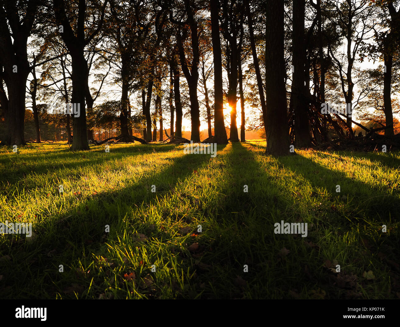 Autun colours hi-res stock photography and images - Alamy