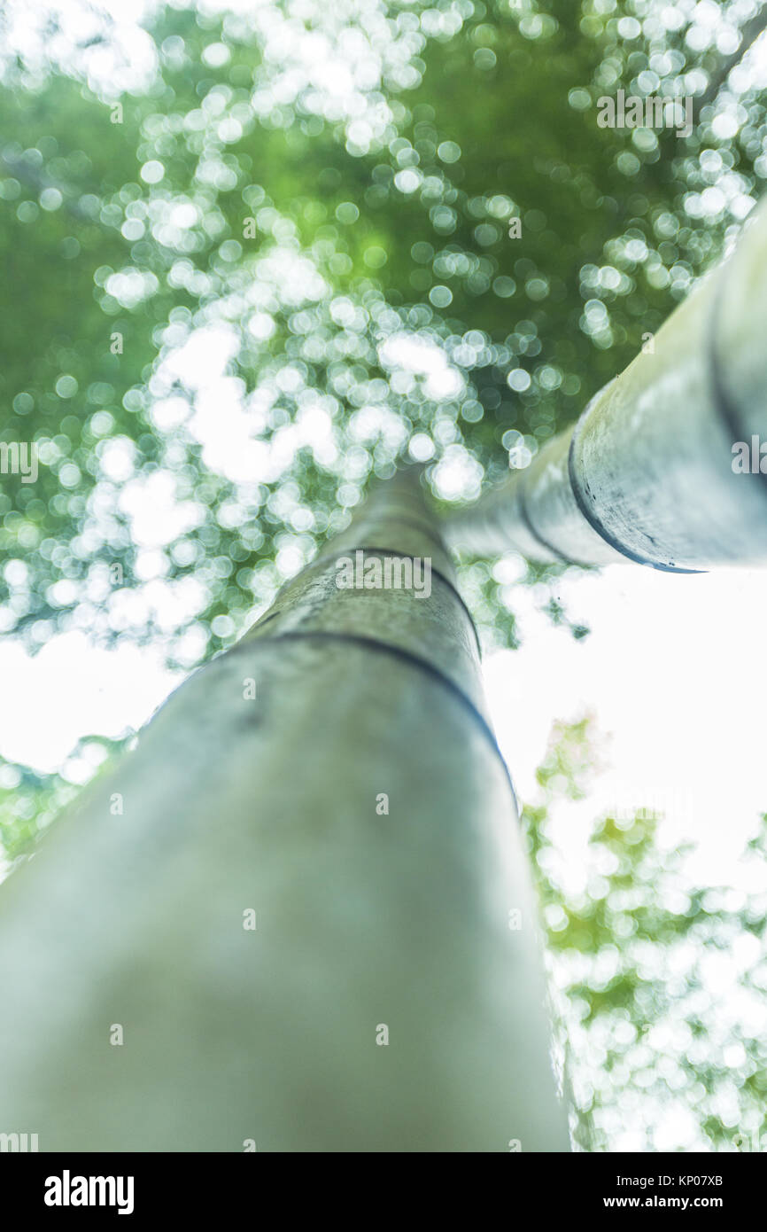 Bamboo forest in Yixing,Jiangsu,China Stock Photo - Alamy