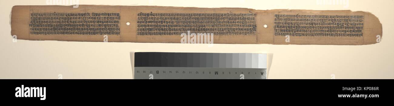Palm Leaf Manuscript High Resolution Stock Photography and Images - Alamy