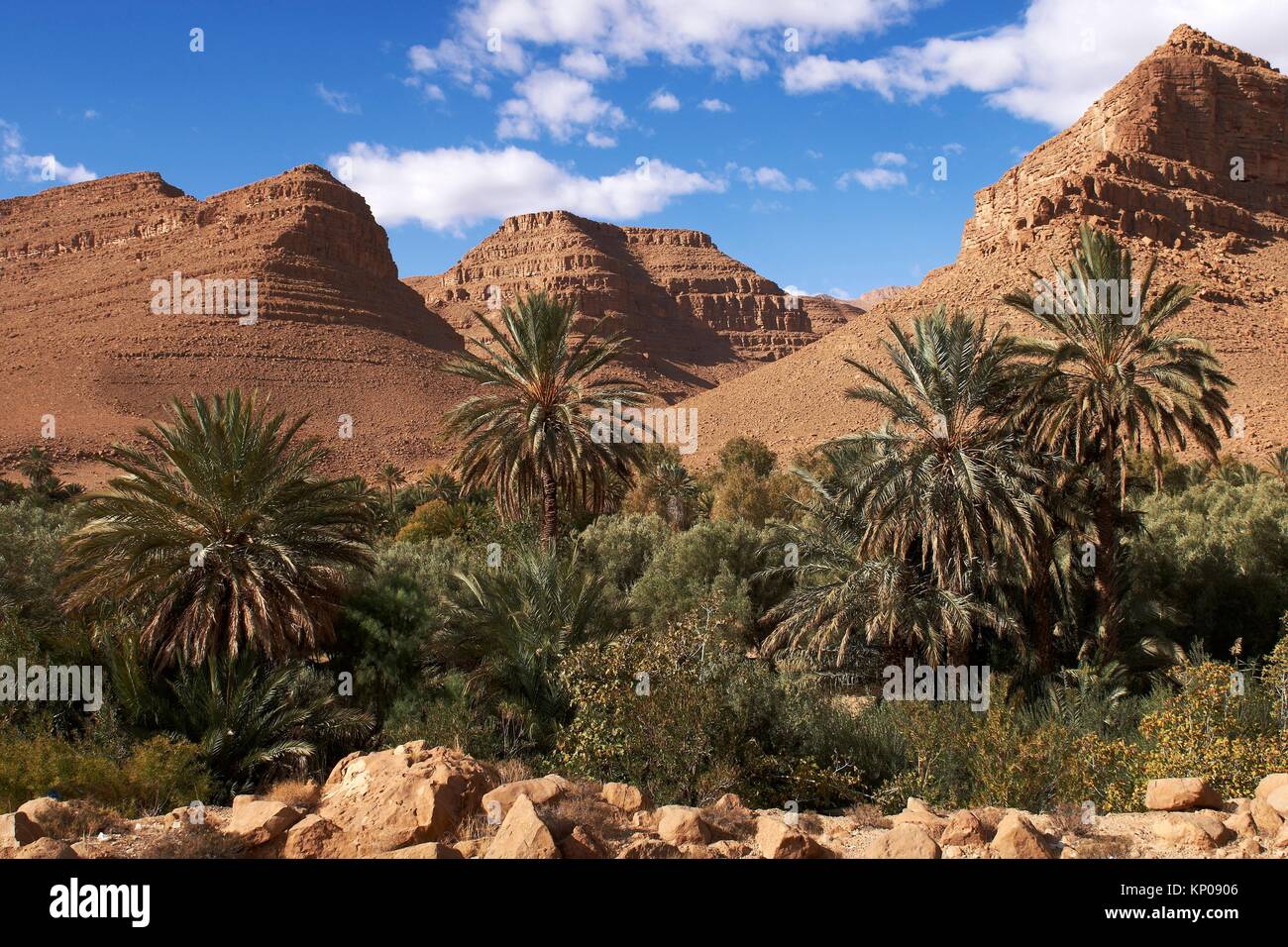 Ziz river canyon hi-res stock photography and images - Alamy
