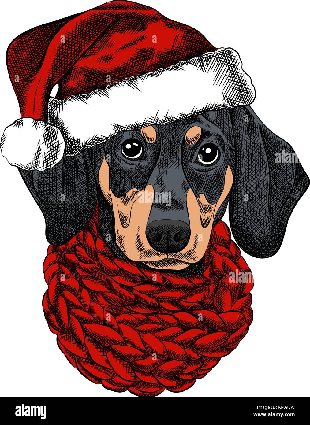 Vector illustration of a Dachshund dog for a Christmas card. Dachshund ...