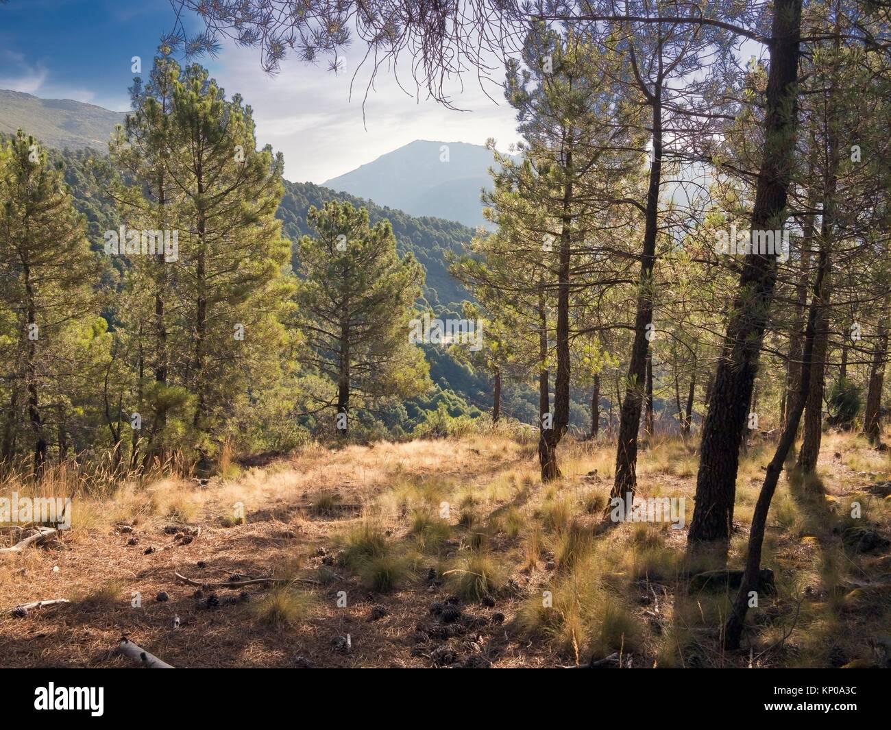 Mijares avila hi-res stock photography and images - Alamy